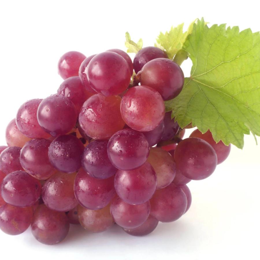 Grapes | Bamo Zgheib