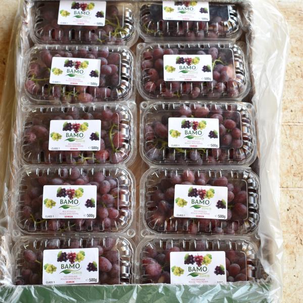 Grapes | Bamo Zgheib